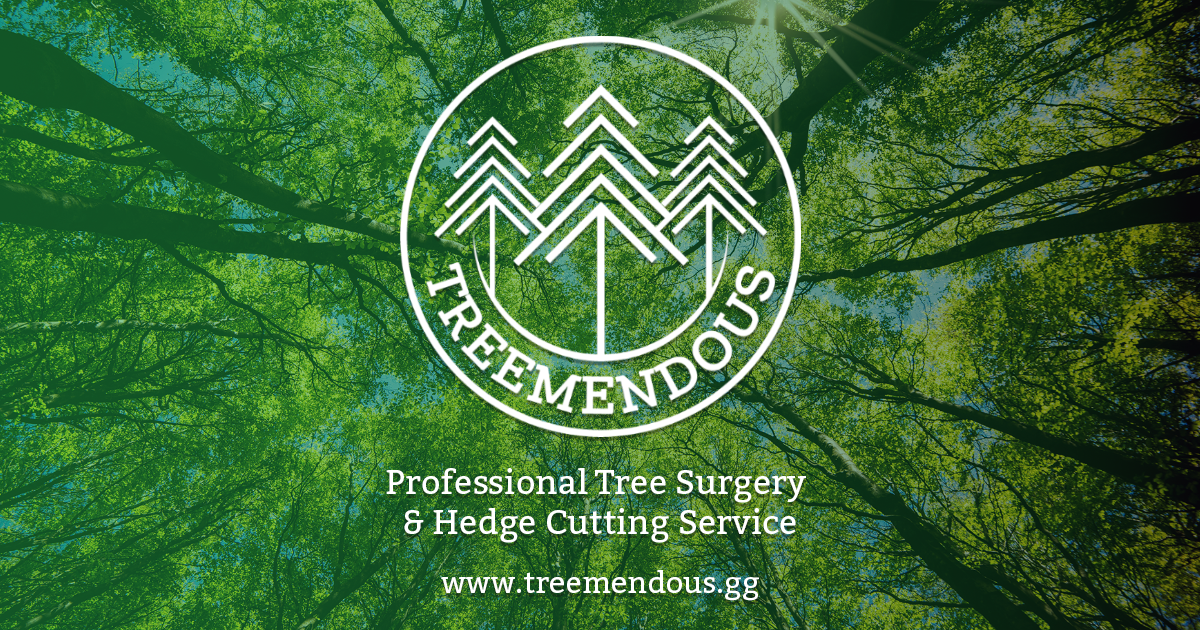 TREEmendous - Professional Tree Surgery & Hedge Cutting